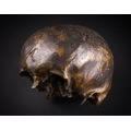 AN ANCIENT PRE-ROMAN HUMAN SKULL. Sharp-force trauma wounds front and ...