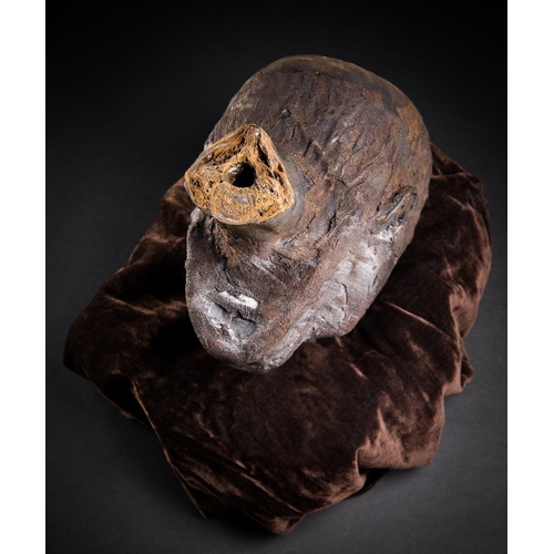 AN EXCEPTIONAL ANCIENT EGYPTIAN MUMMY HEAD, EGYPT 750-800 BC. An ...