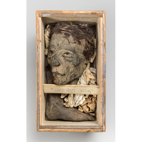 A RARE ANCIENT EGYPTIAN MUMMY HEAD. An extremely rare and fine ...