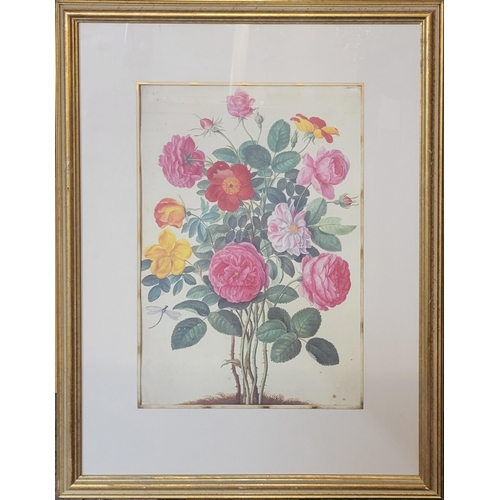 AFTER JOHANN JAKOB WALTHER, A SET OF THREE STILL LIFE COLOURED PRINTS ...