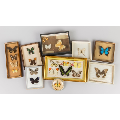 A COLLECTION OF MID-20TH CENTURY BUTTERFLY ENTOMOLOGY DISPLAY FRAMES ...