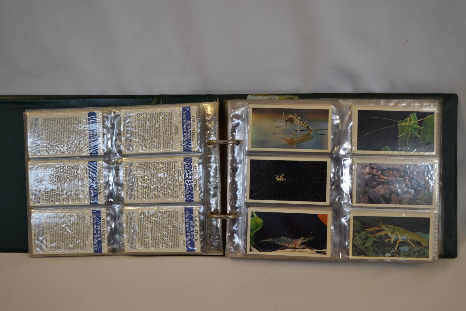 ALBUM OF GRANDEE CIGAR CARDS