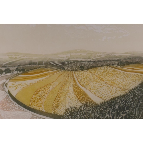 Robert Barnes, Dorset landscape, limited edition etching, 70/100 ...