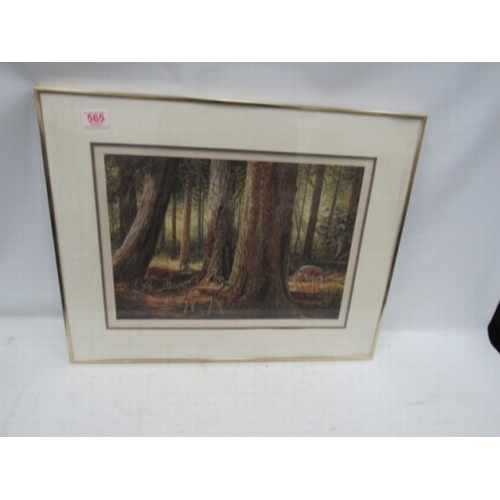 Ltd print Blacktail Family by Lisa Calvert