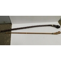 Two walking sticks