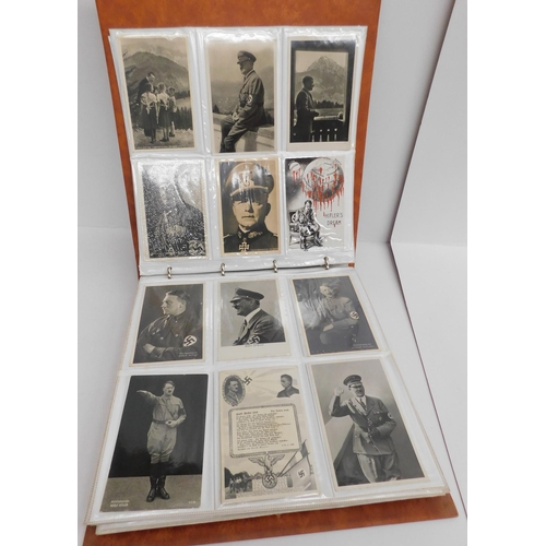 Full postcard/album - incl. Hitler and Far Right, Sweetheart cards and ...