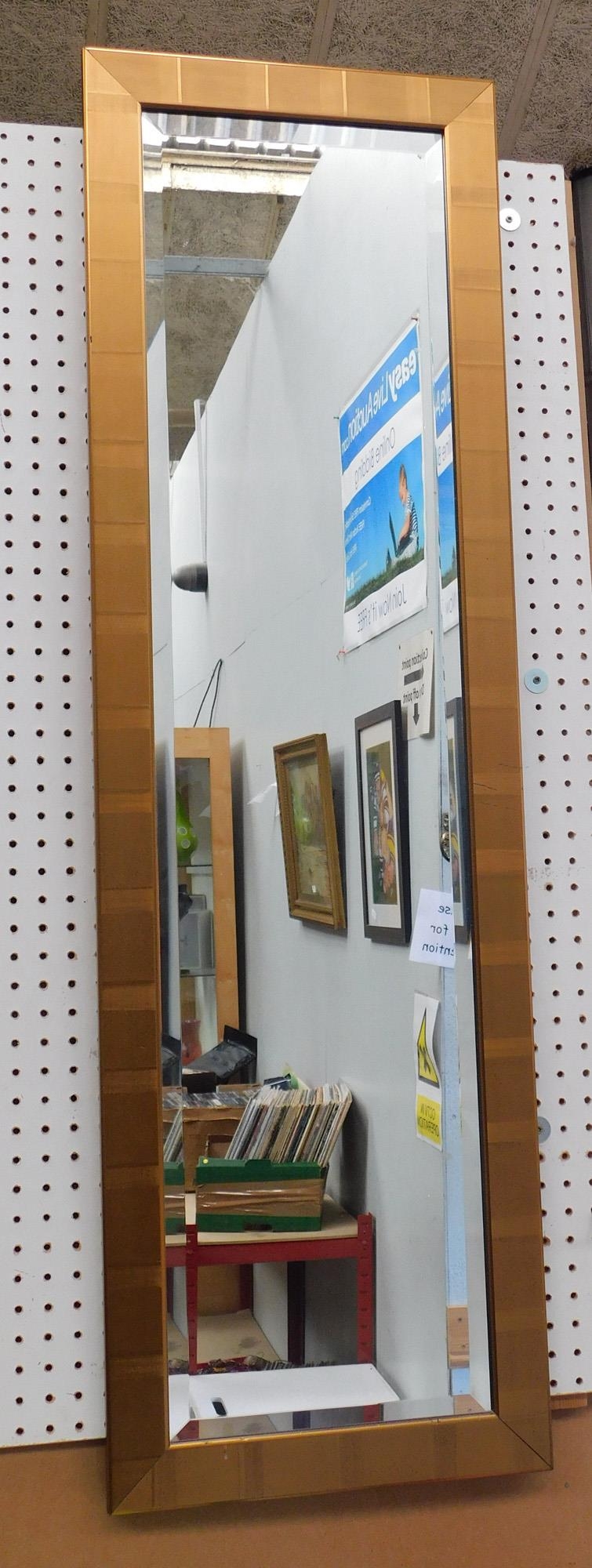 Full length bevel edge mirror - 51" x 16"