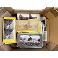 Box of stereoview cards including military, Palestine, USA, etc.