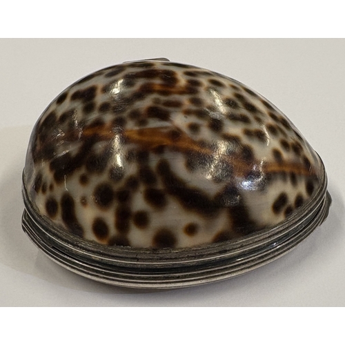 An early Provincial silver cowrie shell snuff box with hinged cover ...