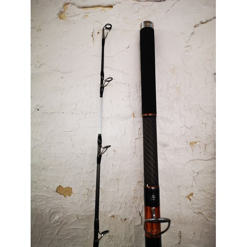 Two sea fishing rods, one Zziplex M4 GT two piece and one Century Tip ...