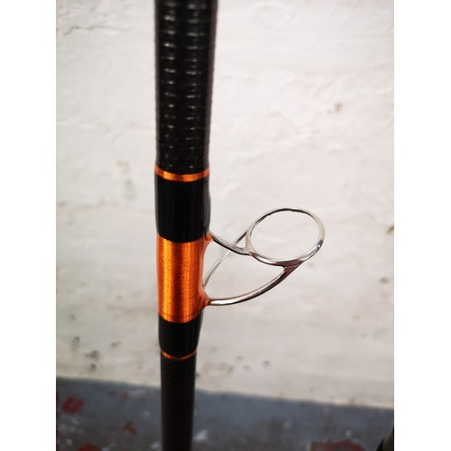 Two sea fishing rods, one Zziplex M4 GT two piece and one Century Tip ...
