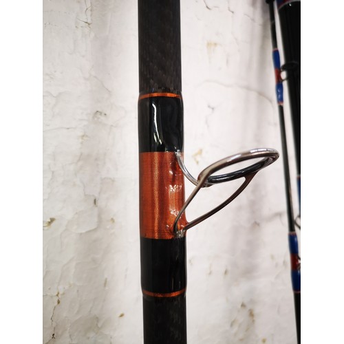 Two sea fishing rods, one Zziplex M4 GT two piece and one Century Tip ...