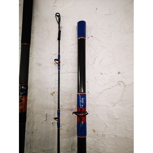 Two sea fishing rods, one Zziplex M4 GT two piece and one Century Tip ...