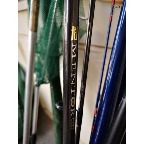 A collection of fishing rods and nets to include Shakespeare carp rods ...