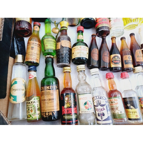 A very large collection of alcohol miniatures to include Glenmorangie ...