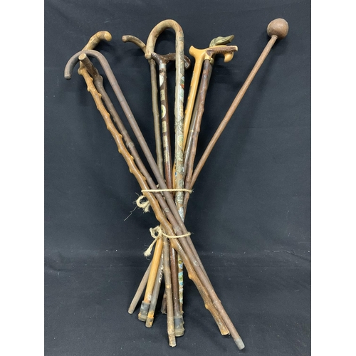 Ten assorted walking sticks