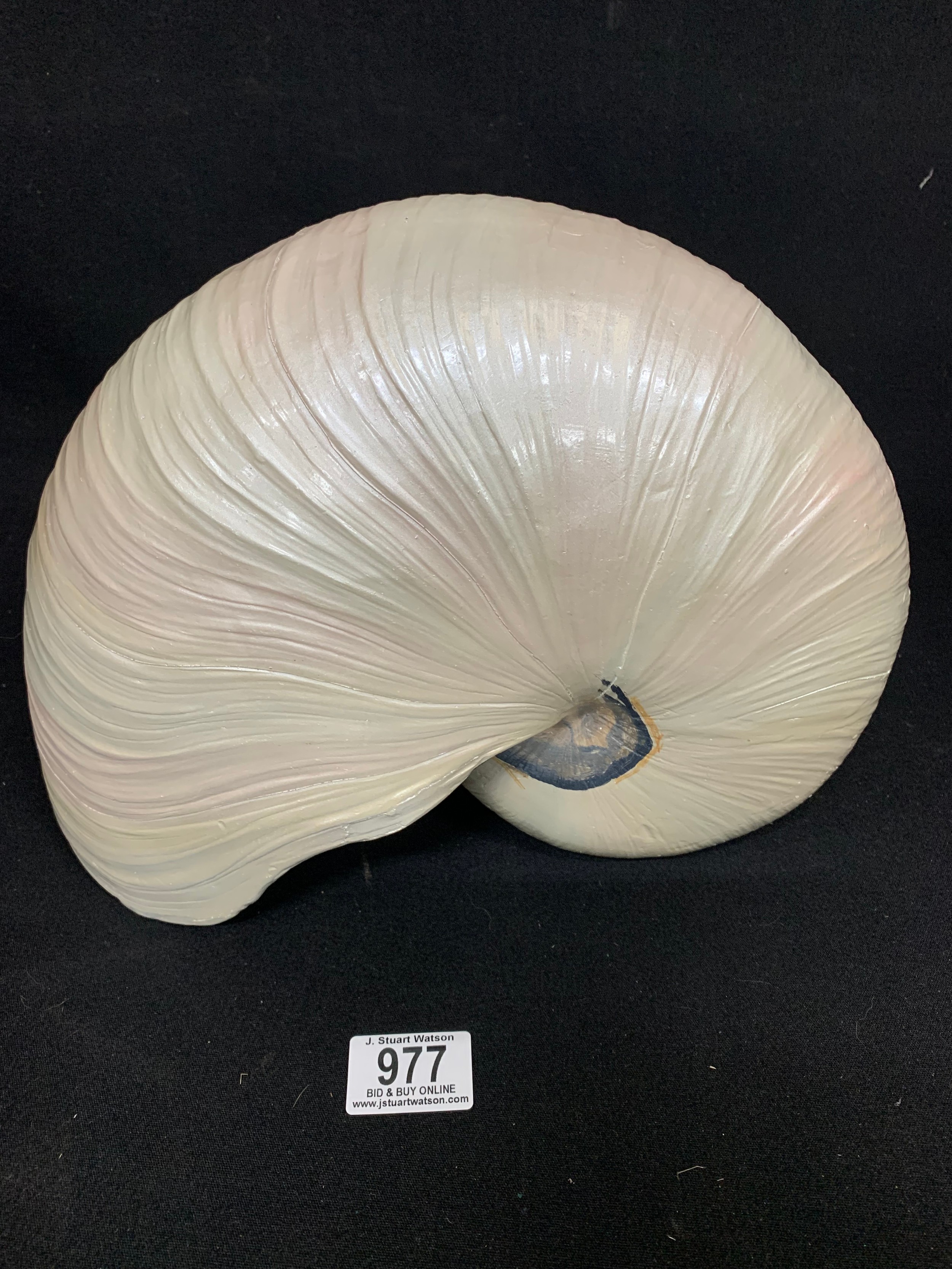 Large faux conch shell, width 30 cms