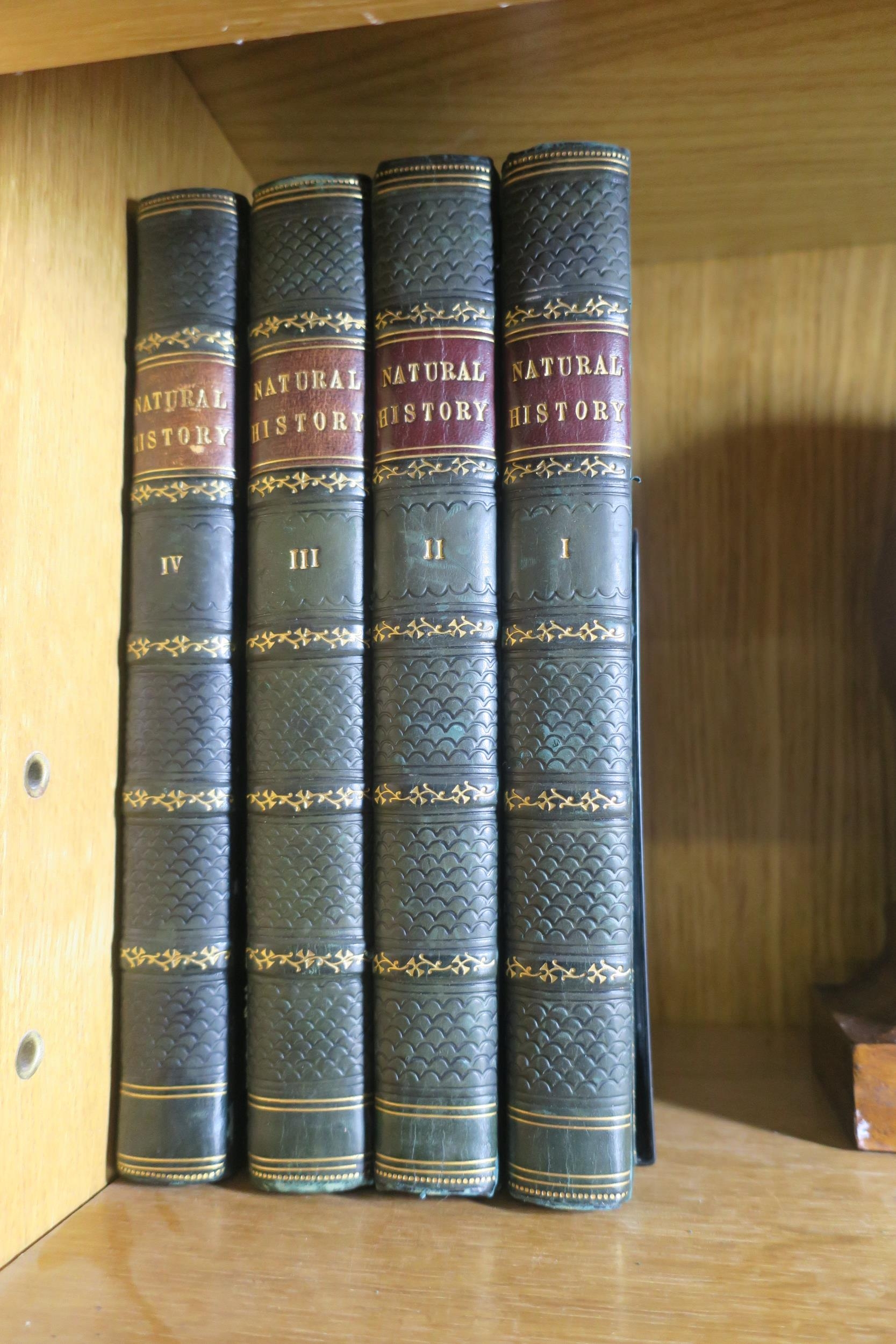 4 VOLUME BOOK SET OF NATURAL HISTORY