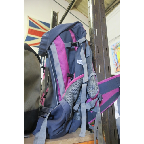 TREPASS GREY AND PINK HIKING BAG / BACK PACK