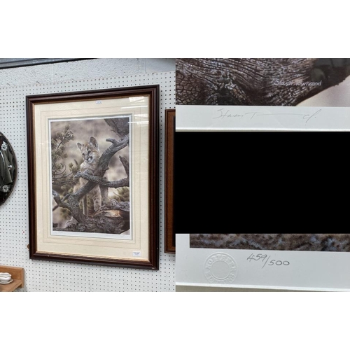 Framed pencil signed Steven Townsend limited edition 459/500 'Curiosity ...