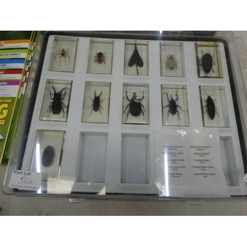 3 cases of bugs and insects in resin, boxed Bug Barn, boxed ...