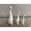 3 graduated Carl Scheidig, German geese