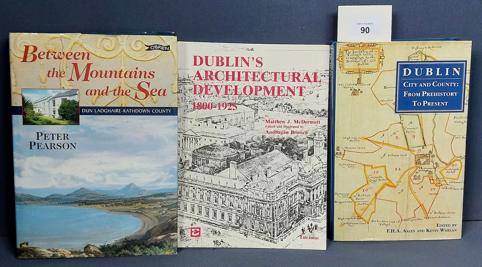 3 Dublin Interest - Dublin City & County; From Prehistory to Present ed ...