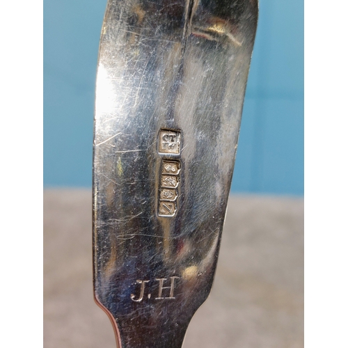George III Irish Silver Service Spoon, Cork, by Carden Terry Jane ...