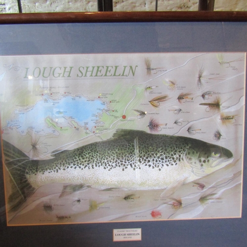 Care of Framed Fine Art Prints Lough Sheelin Trout Each Approximately 16 Inches High x 20 Inches Wid