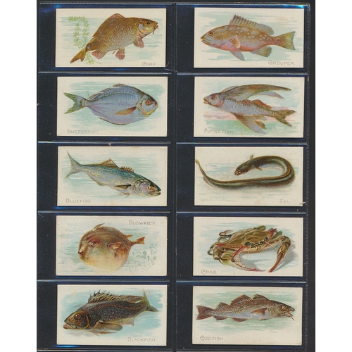 Allen & Ginter. 1889 Fish From American Waters part set in plastic ...