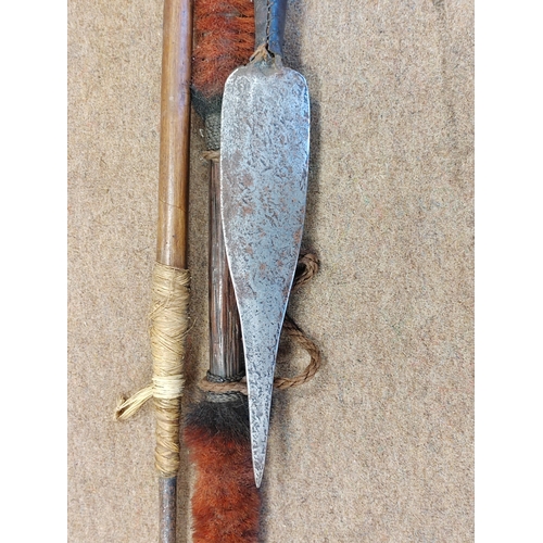 Edged weapon collection includes African spears, fencing swords, naval ...
