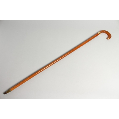 A GOOD AMBER WALKING STICK with 18ct gold band