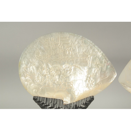 A PAIR OF CHINESE CARVED MOTHER OF PEARL SHELLS on fitted carved wood ...