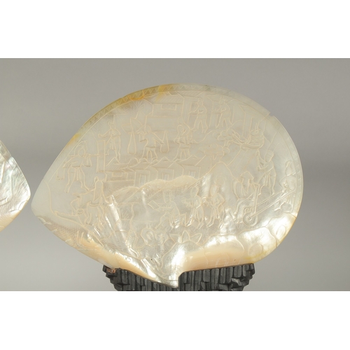 A PAIR OF CHINESE CARVED MOTHER OF PEARL SHELLS on fitted carved wood ...