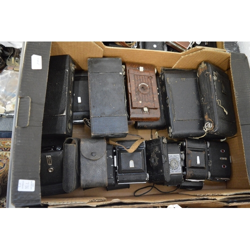A large collection of early plate cameras, various makers.
