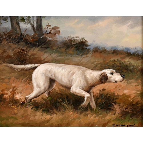 C. Harrison (20th Century), a dog in a landscape, oil on panel, 8" x 10 ...