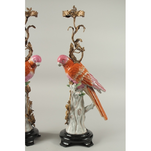 A PAIR OF CONTINENTAL PORCELAIN AND GILT METAL PINK AND ORANGE PARROT ...