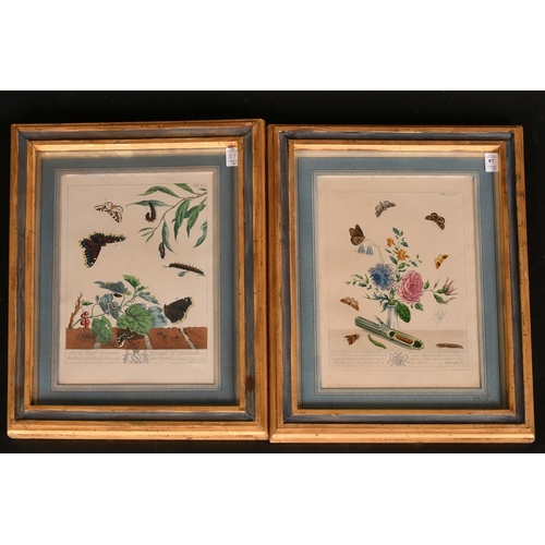 Moses Harris, a set of eight butterfly prints, later impressions, each ...