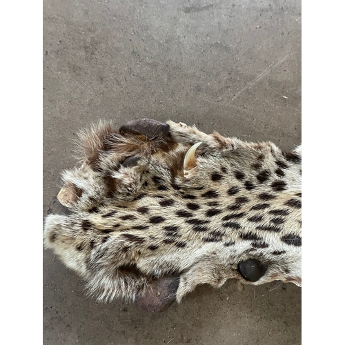 TAXIDERMY CHEETAH RUG
