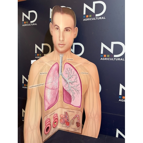 ANIMATED TEACHING AID