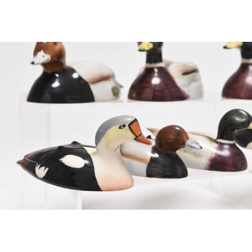 A collection of nineteen Beswick Peter Scott models of wildfowl ...