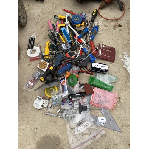 A MIXED LOT OF LOOSE TOOLS