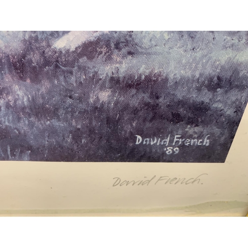 A DESERT ORCHID PRINT, SIGNED IN PENCIL BY ARTIST DAVID FRENCH, 60CM X 50CM