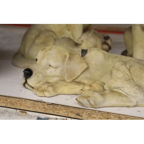 THREE LARGE RESIN GOLDEN LABRADOR DOG FIGURES