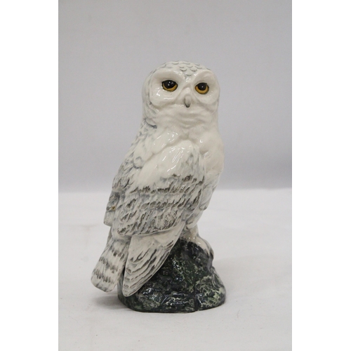 A ROYAL DOULTON, 1984, SNOWY OWL, WHYTE AND MACKAY DECANTER