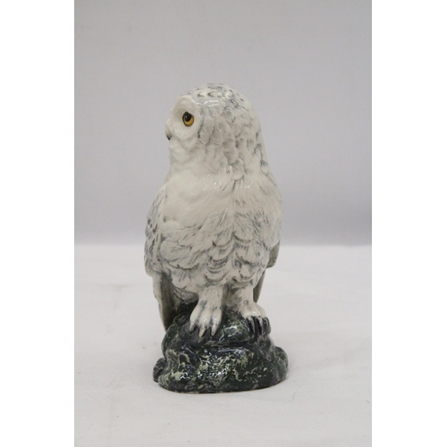 A ROYAL DOULTON, 1984, SNOWY OWL, WHYTE AND MACKAY DECANTER