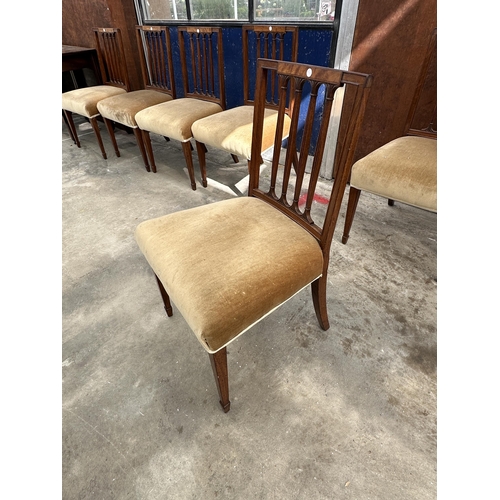 A SET OF SIX 19TH CENTURY MAHOGANY DINING CHAIRS ON TAPERING LEGS WITH ...
