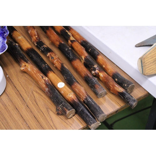 SIX VINTAGE GNARLED WOODEN WALKING STICKS