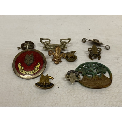 TEN SCOUT BADGES FROM BEAUDESERT CAMP 1938