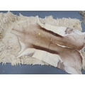 A tray of animal hides